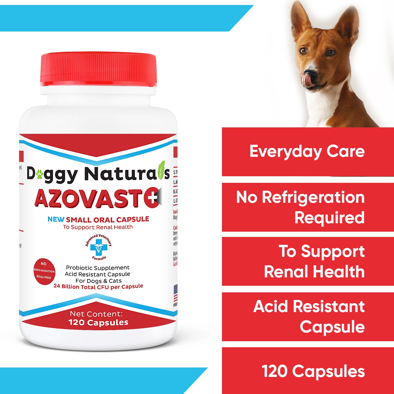 Azovast Plus Capsules for Dogs & Cats (120 Count) – Azovastplus
