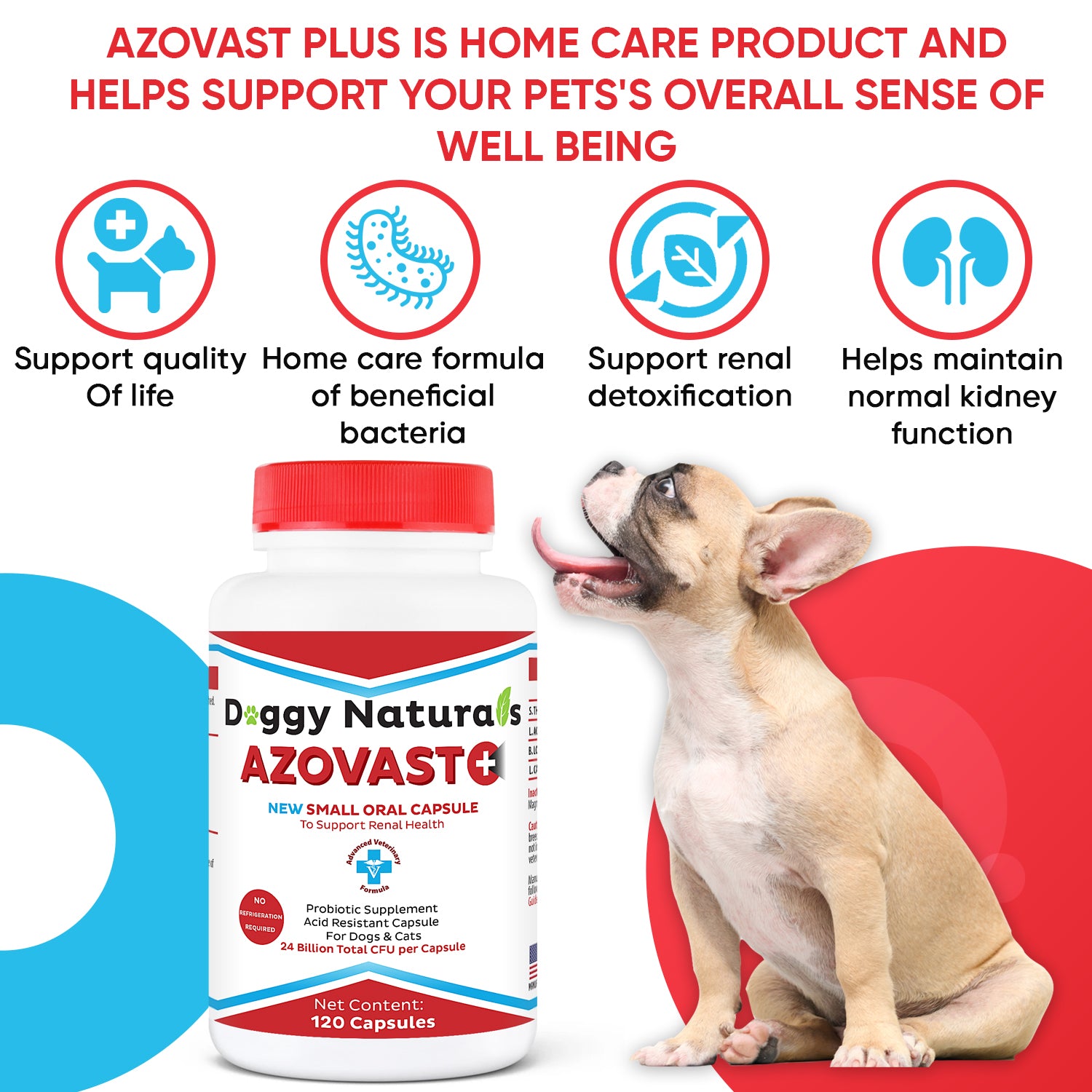Azovast Plus Capsules for Dogs & Cats (120 Count) – Azovastplus