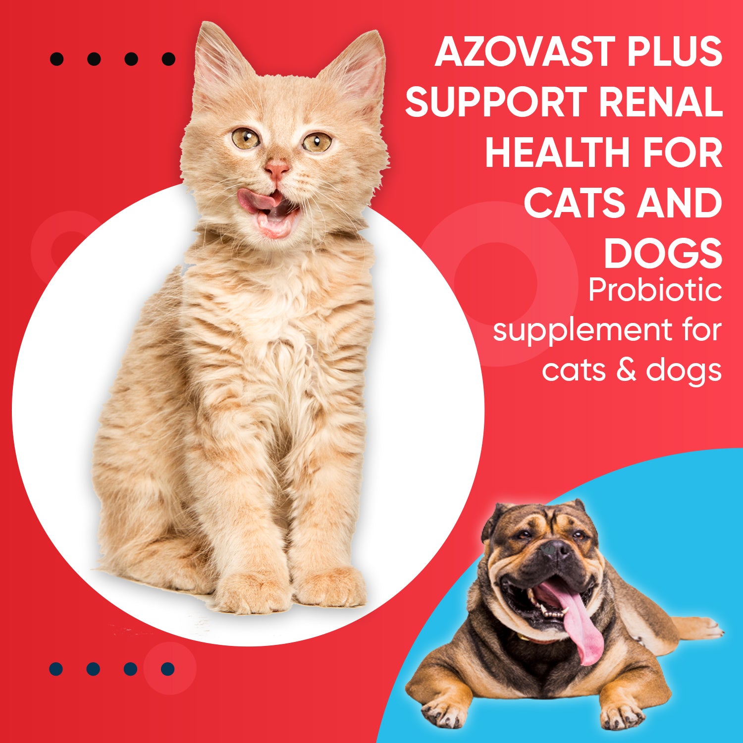 Azovast Plus Capsules for Dogs & Cats (120 Count) – Azovastplus